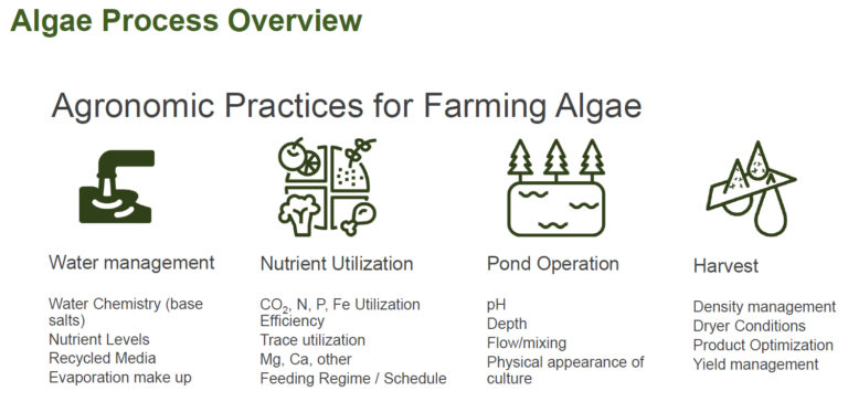 Algae Process Overview – GS Farms